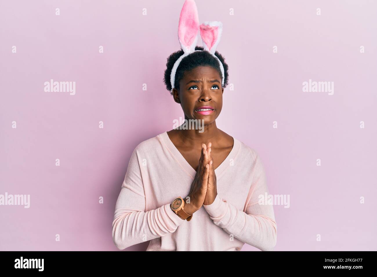 Begging Bunny High Resolution Stock Photography and Images - Alamy