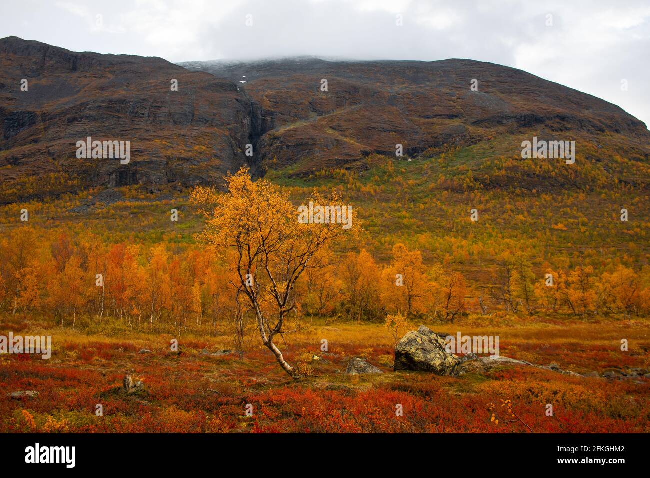 Hiking Kungsleden trail, Swedish Lapland, September 2020 Stock Photo ...