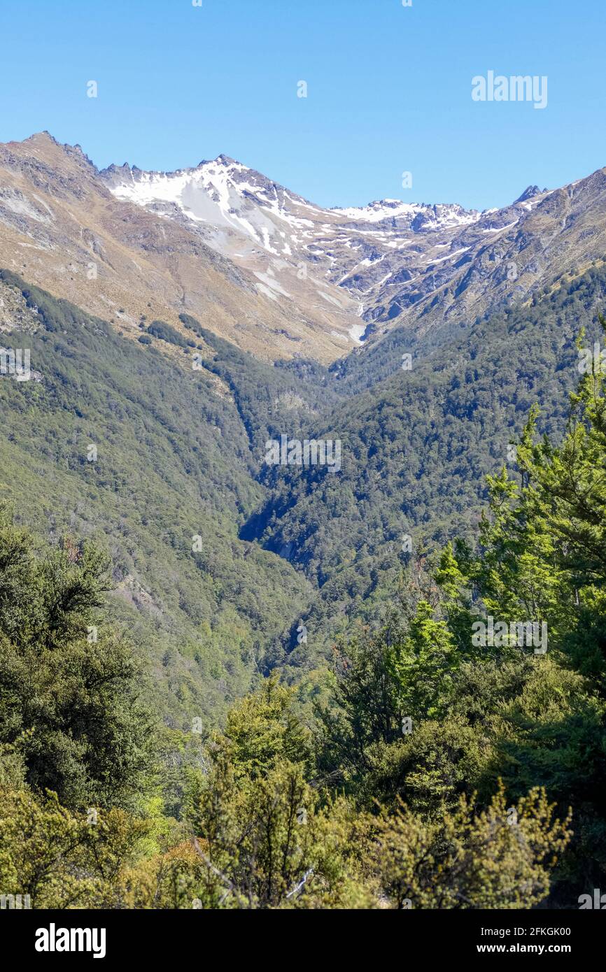 Scenery around the Mount Crichton Loop Track in Otago in New Zealand ...