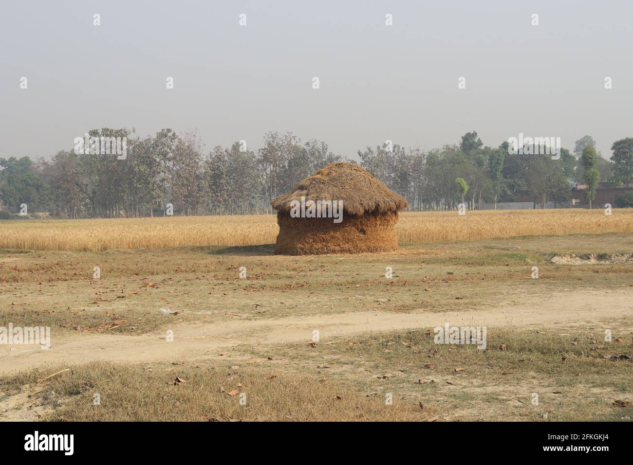 Small wooden hut on a large field Stock Photo - Alamy
