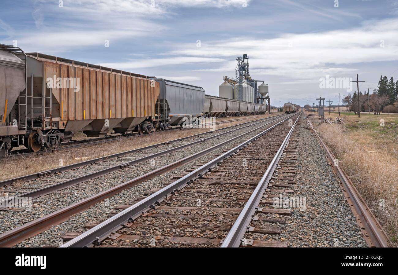 Grain elevators and train on the prairie near Bashaw, Alberta, Canada ...