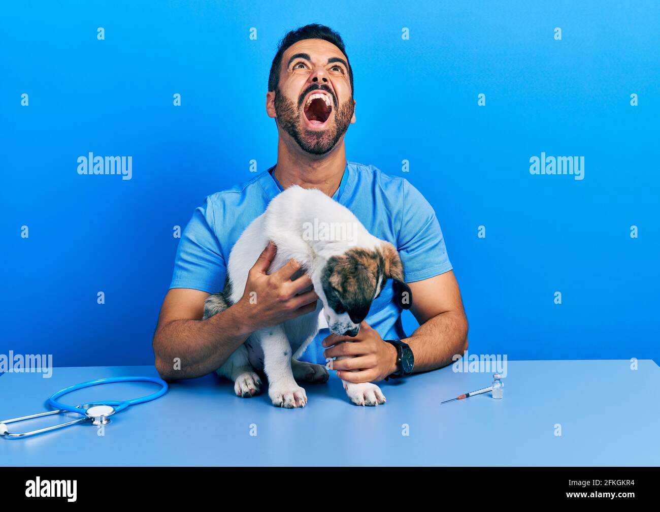 Handsome hispanic veterinary man with beard checking dog health angry ...