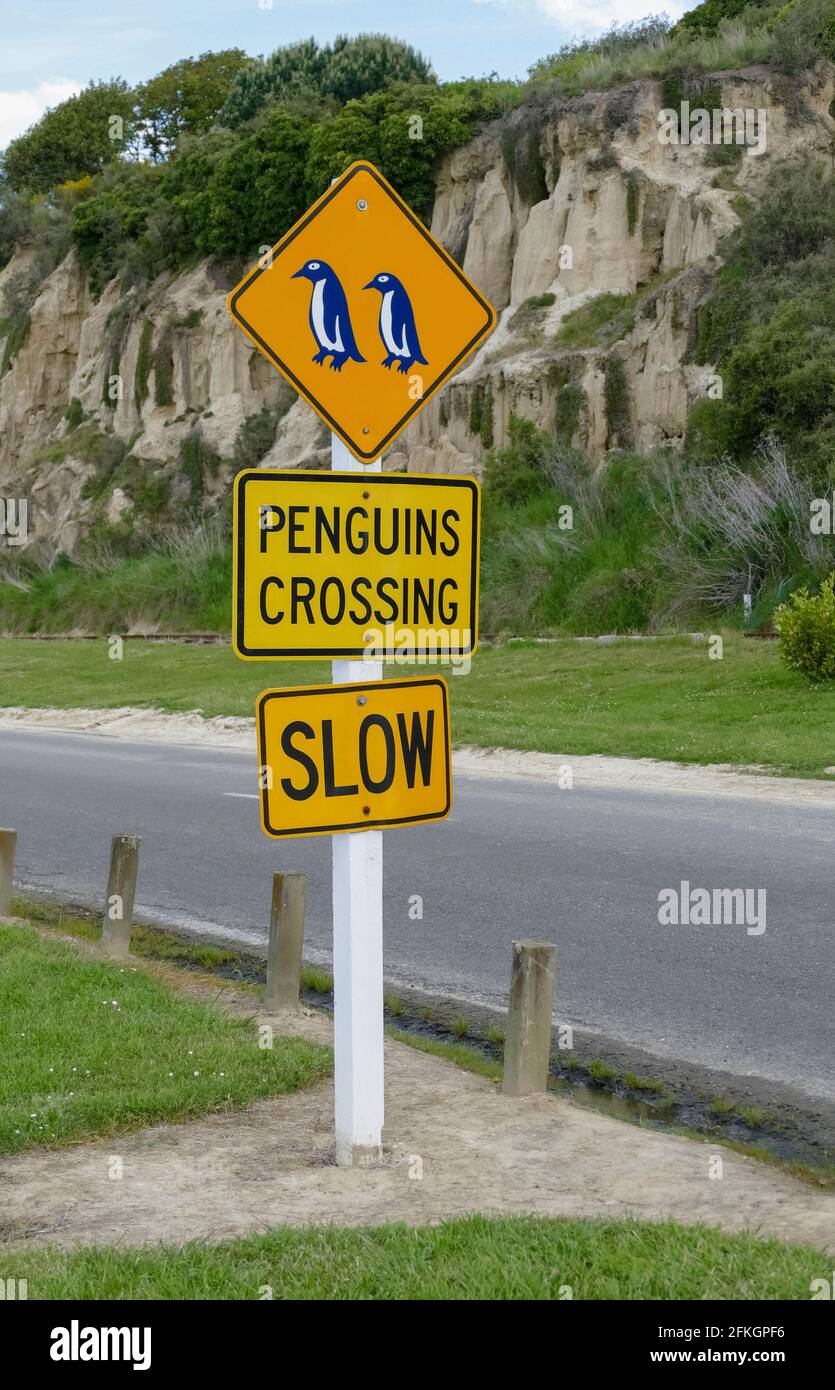 Crossing penguins crossing hi-res stock photography and images - Alamy