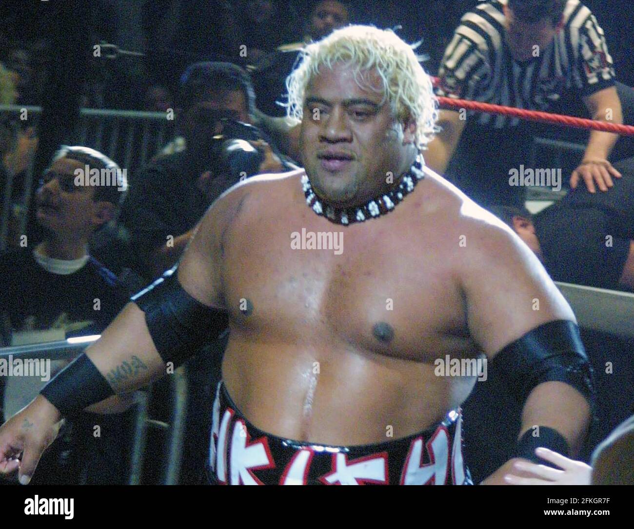 Photolink mediapunch hi-res stock photography and images - Alamy