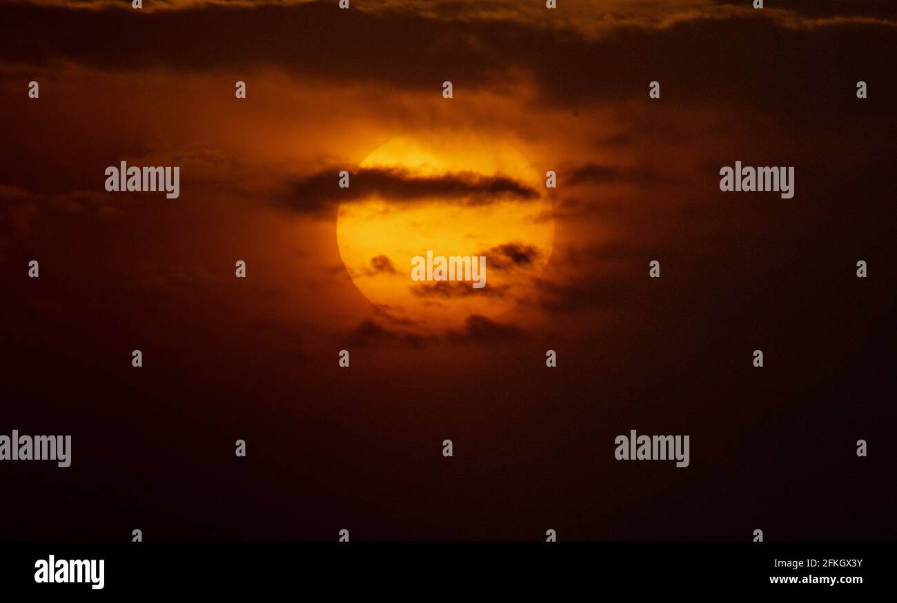 Selective focus golden shiny hi-res stock photography and images - Alamy