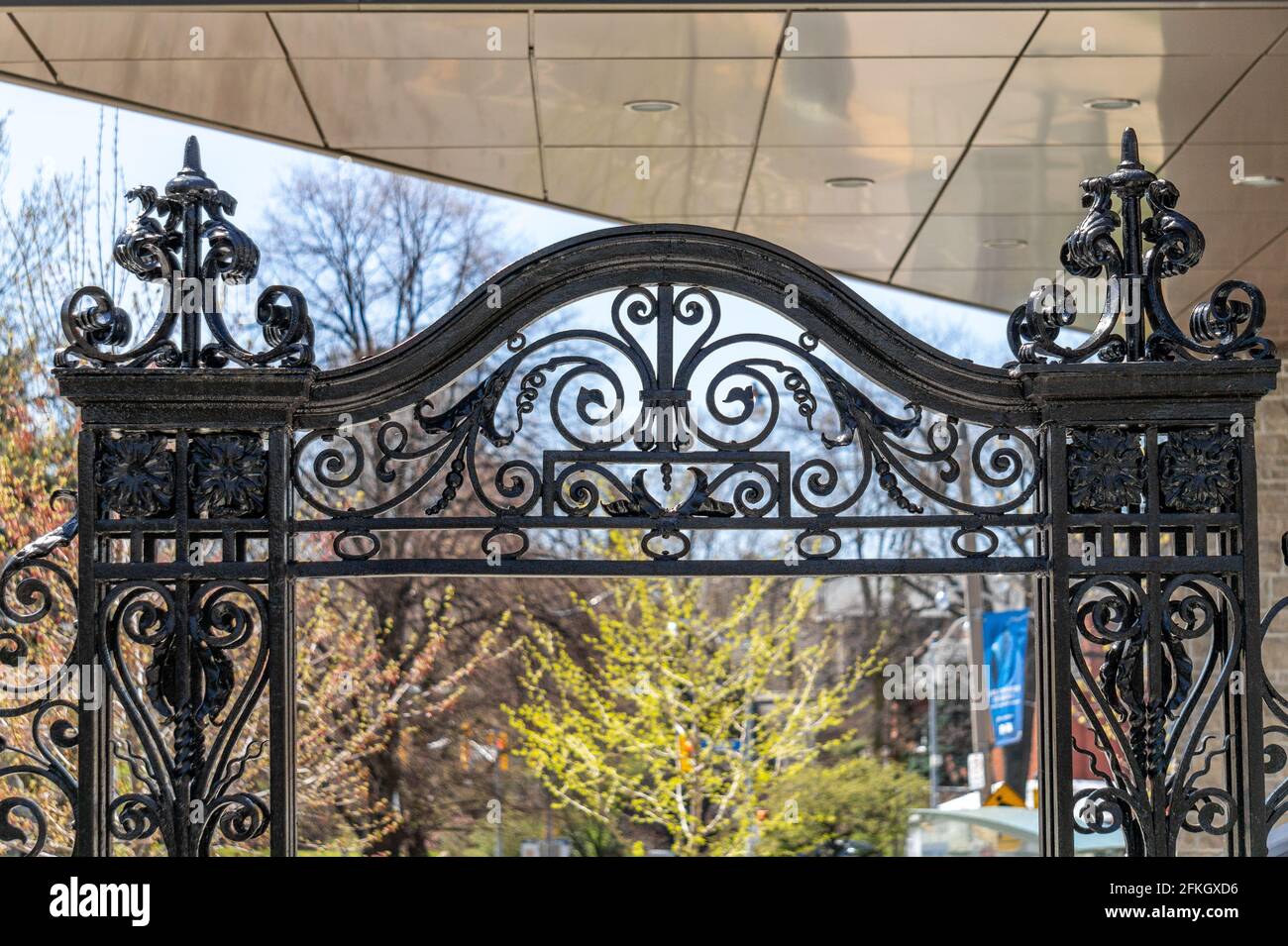 Metalwork in an entrance gate at the Flavelle House in the University ...