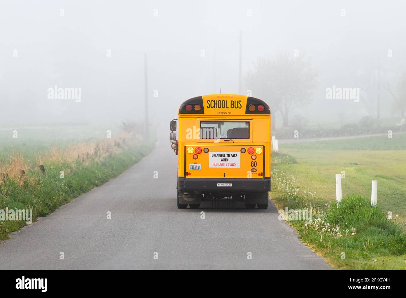 Blue bird bus hi-res stock photography and images - Alamy