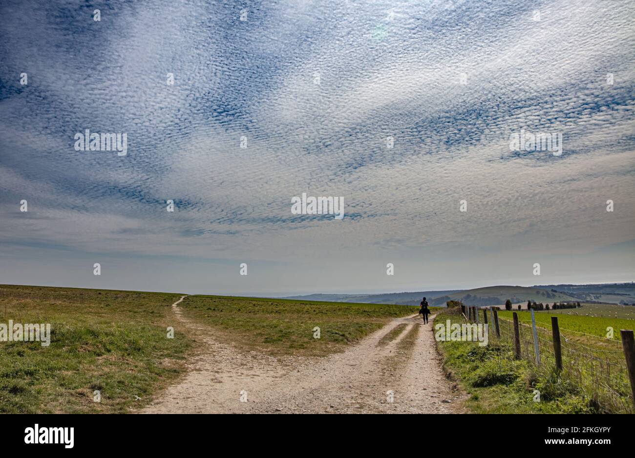 Long road in a field of grass branching out into two parts with a ...