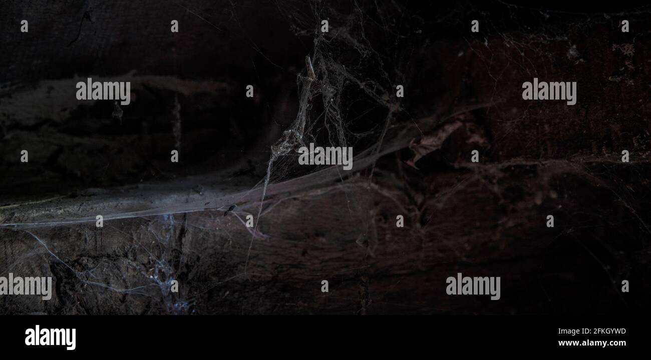 Dusty attic with a lot of cobwebs. Web in the attic of the house, a ...