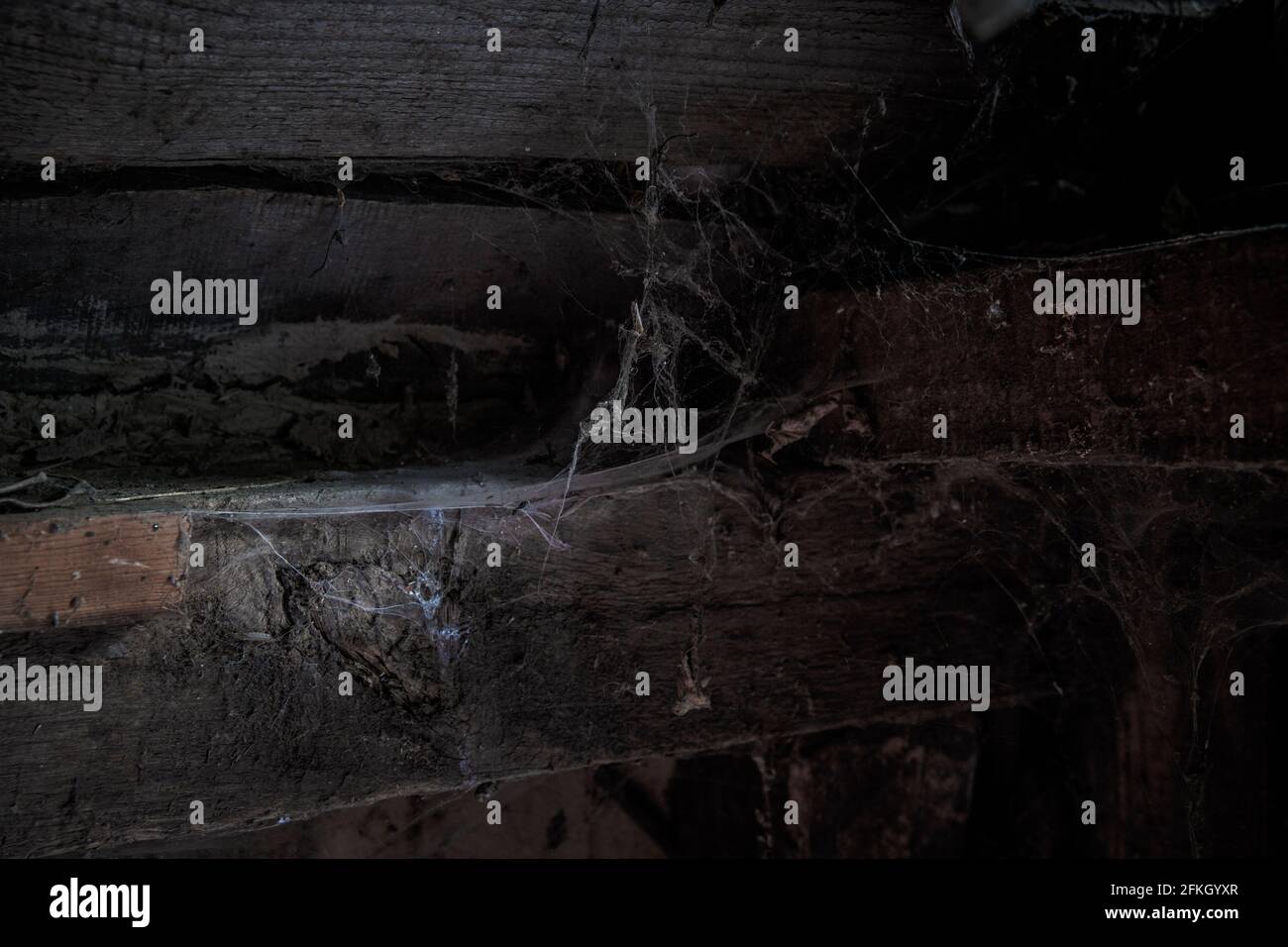 Dusty attic with a lot of cobwebs. Web in the attic of the house, a ...