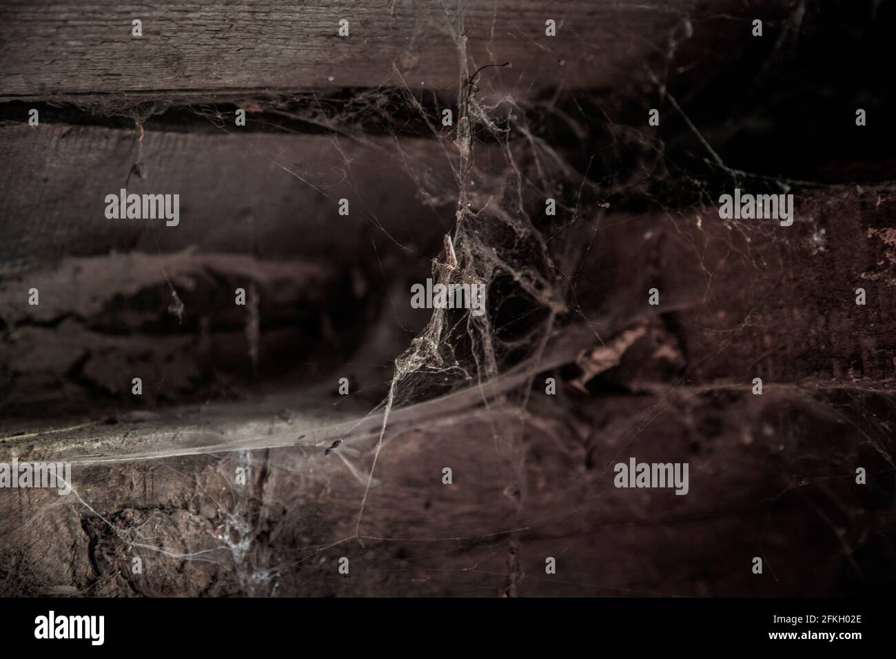 Dusty attic with a lot of cobwebs. Web in the attic of the house, a ...