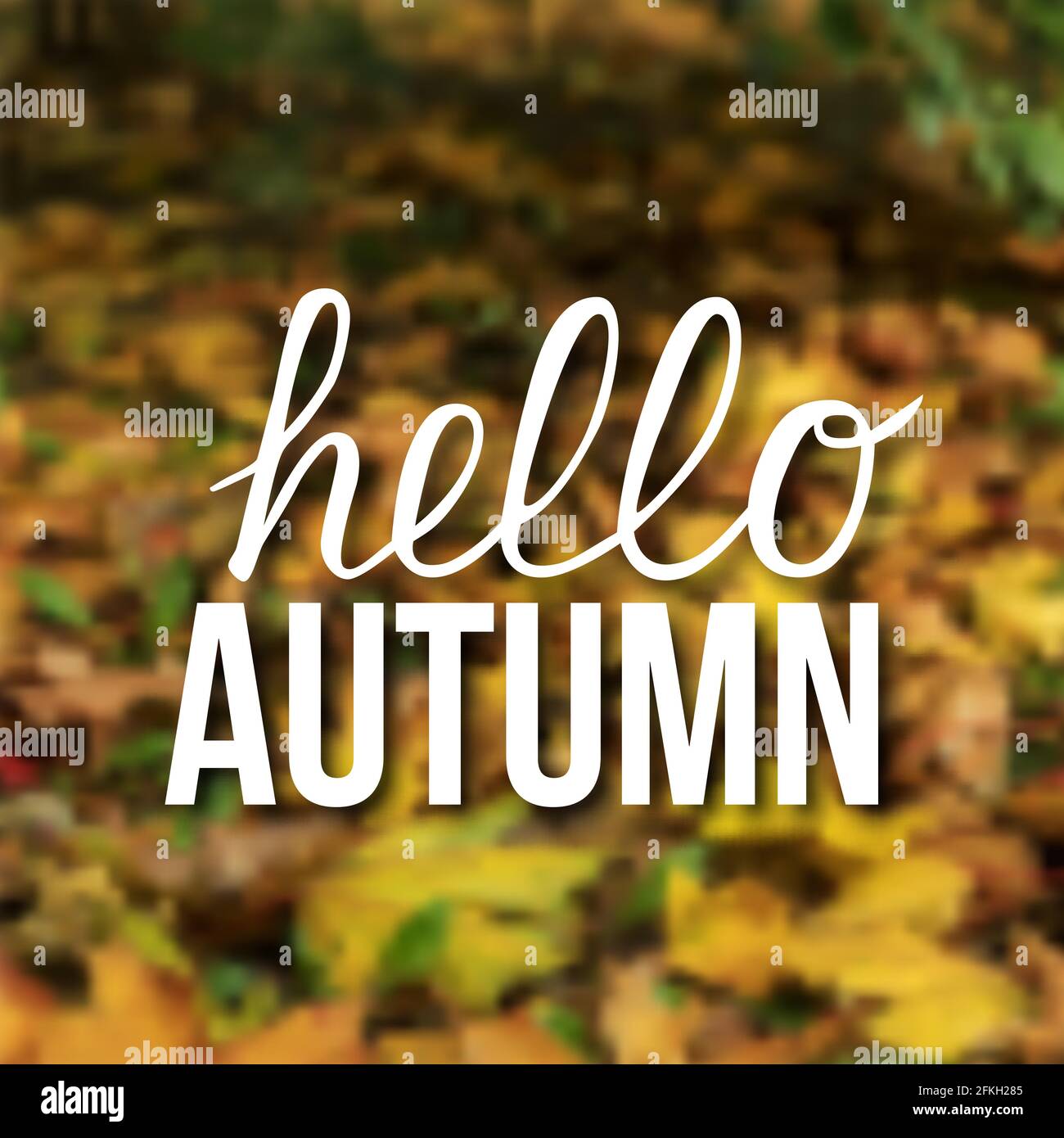 Writing Hello autumn on blurred background of colorful fallen leaves ...