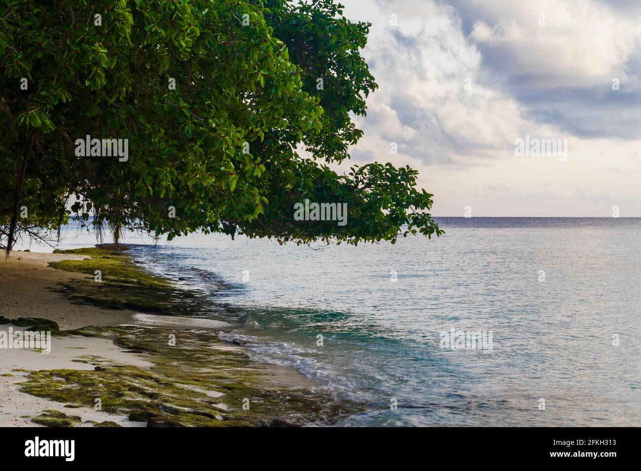 Shot of a tropical island Stock Photo - Alamy