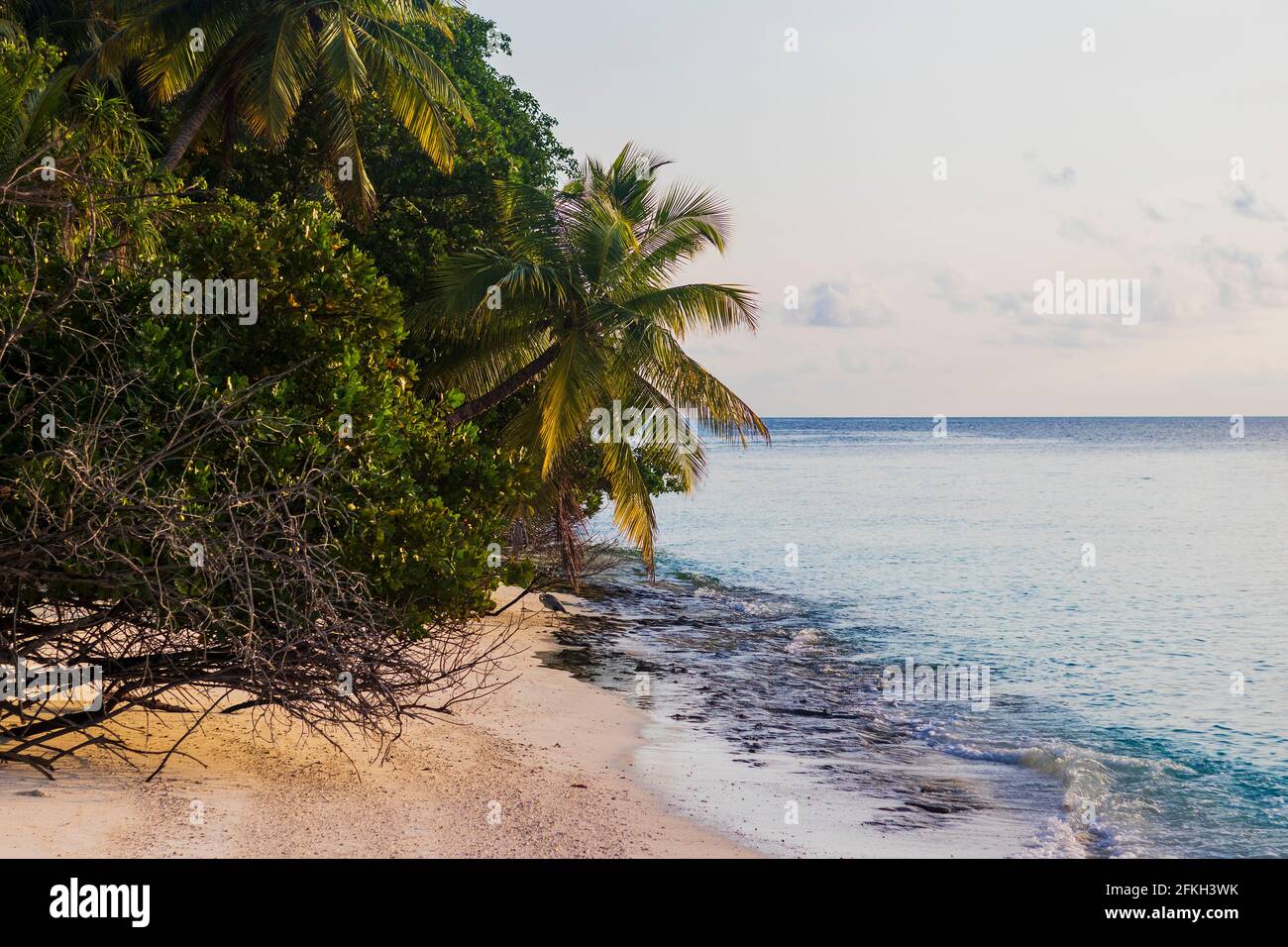 Shot of a tropical island Stock Photo - Alamy