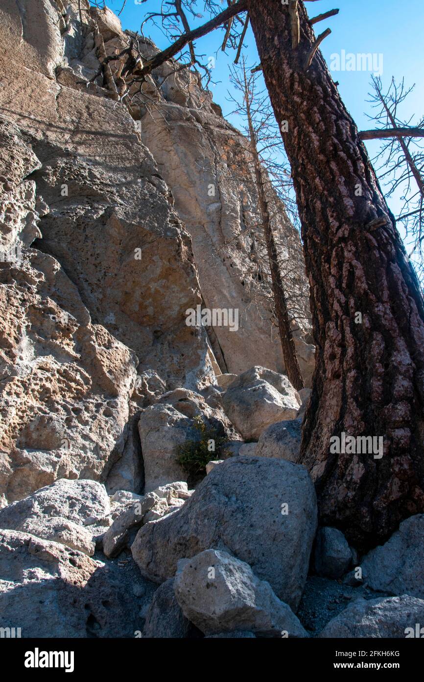 Clark Canyon is a popular place to go rock climbing in Mono County, CA ...