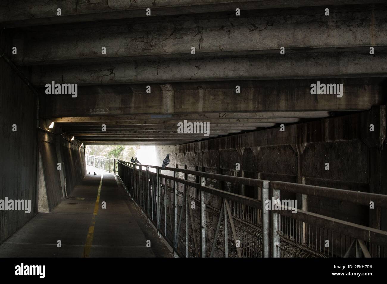 Shared cycle hi-res stock photography and images - Alamy