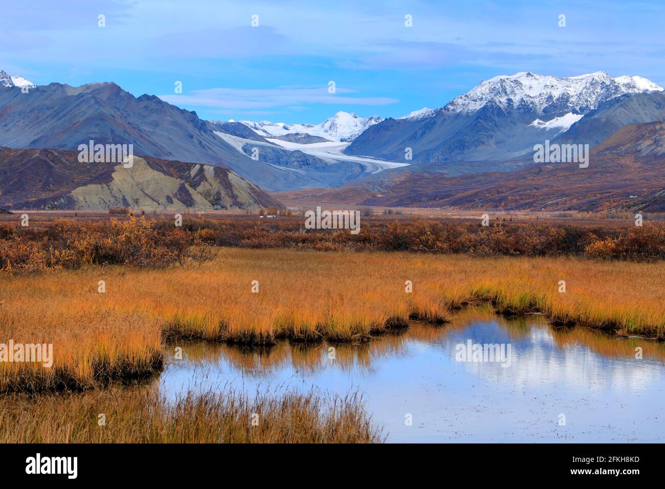 Snowy mountains marsh foreground Alaska USA Stock Photo - Alamy
