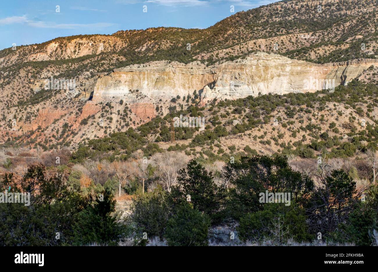 The Carson National Forest is one of five National Forests in New ...