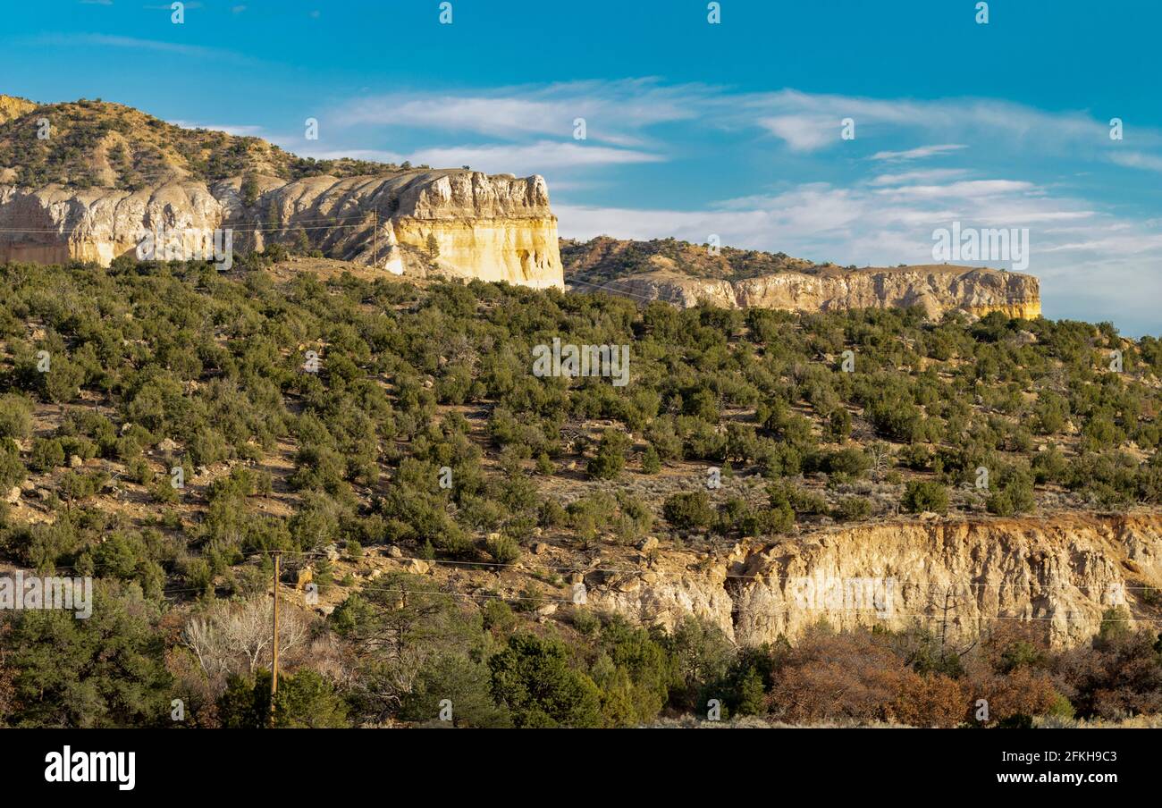 The Carson National Forest is one of five National Forests in New ...