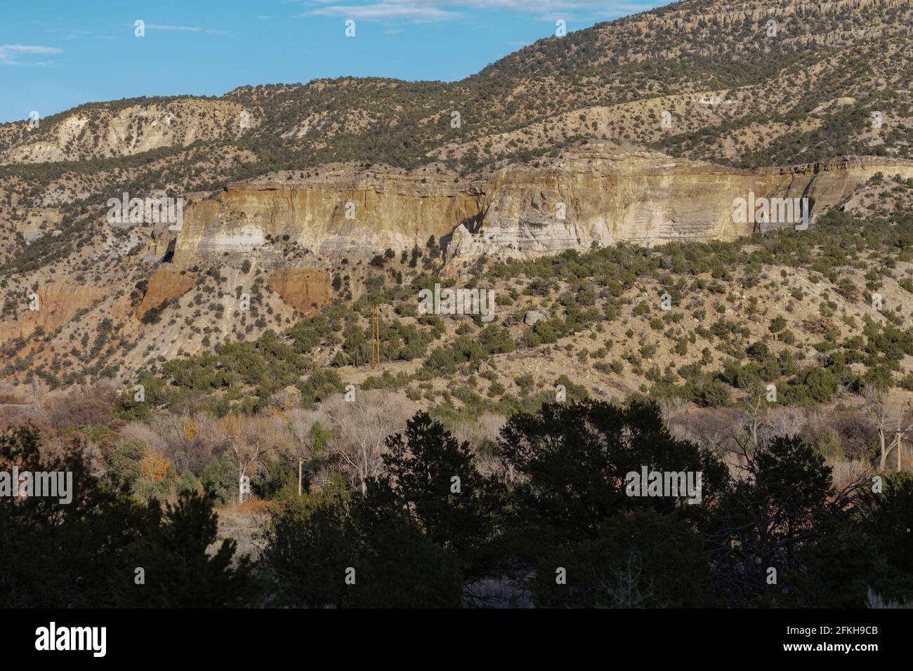 The Carson National Forest is one of five National Forests in New ...