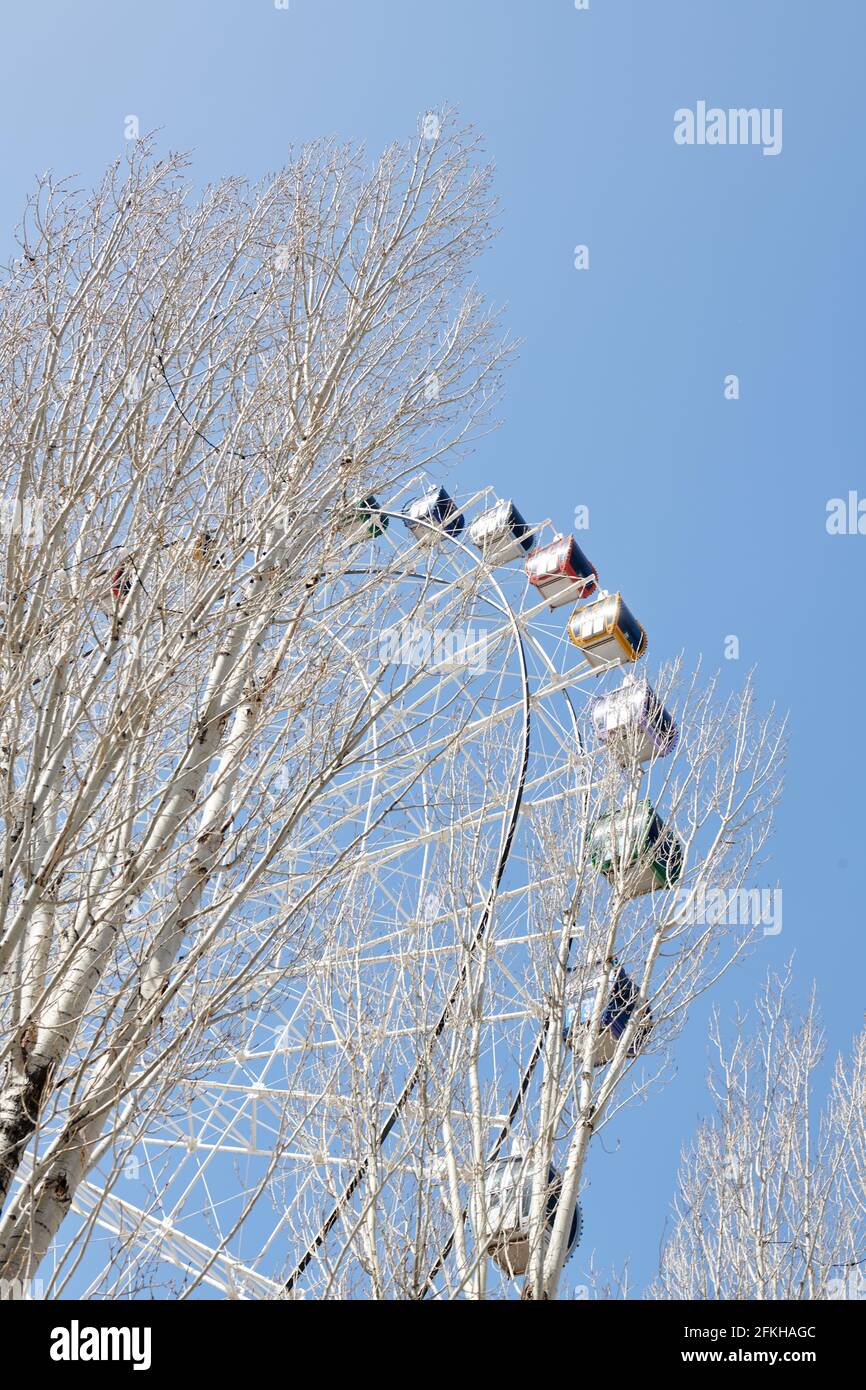 a huge ferris wheel stands in the park Stock Photo - Alamy