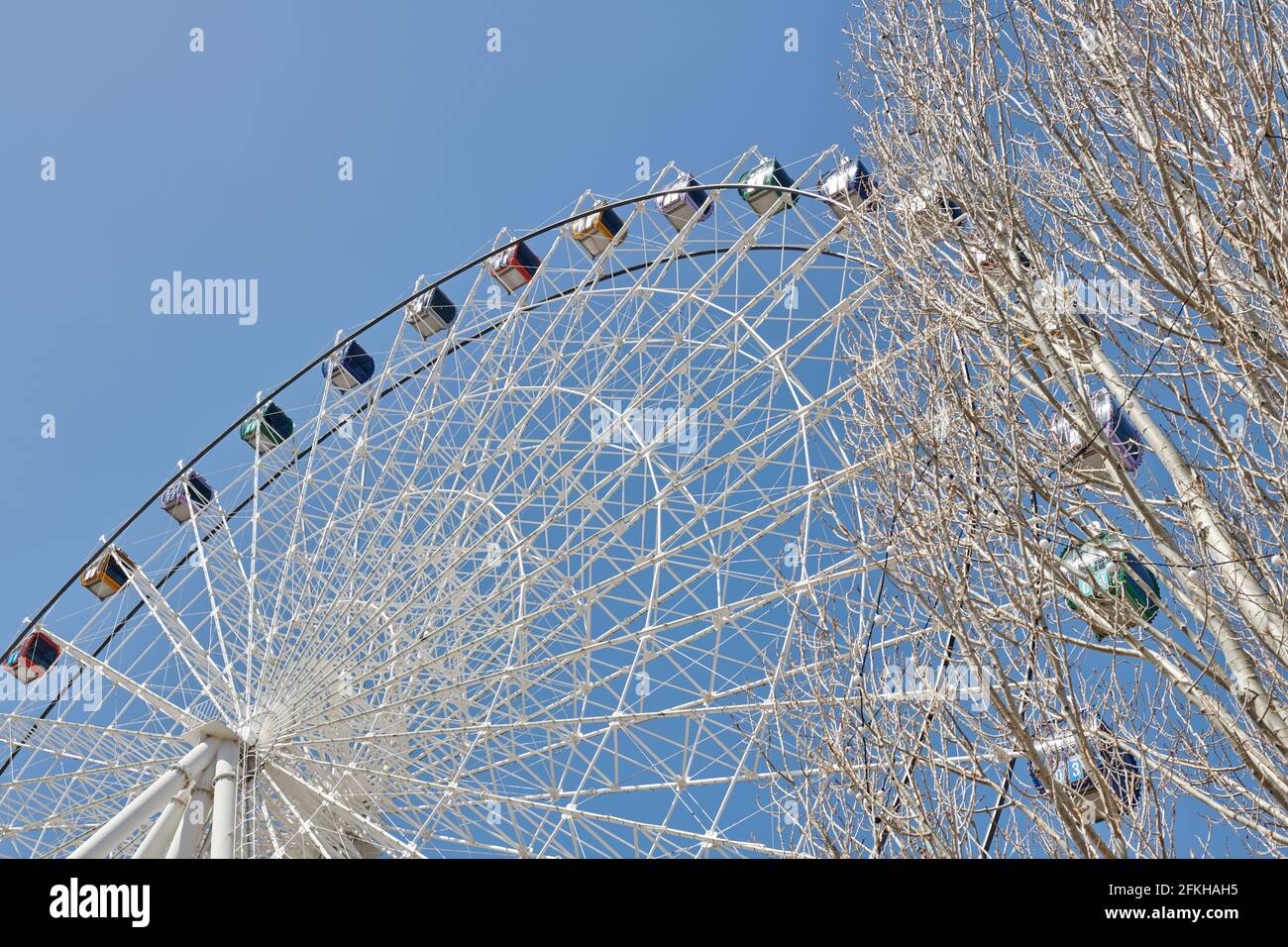 the largest Ferris wheel stands in the park Stock Photo - Alamy