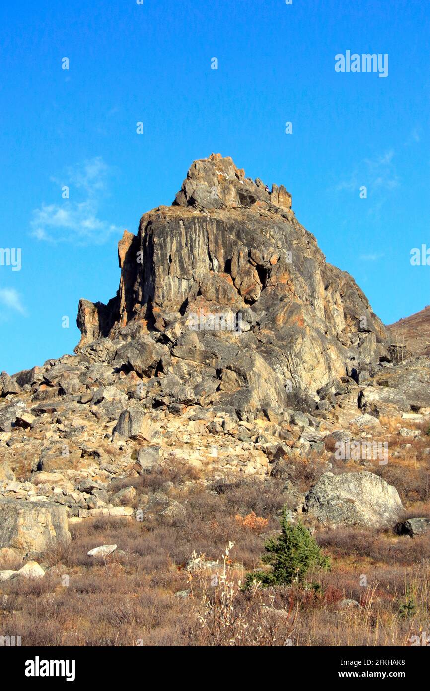 Savage river check station hi-res stock photography and images - Alamy