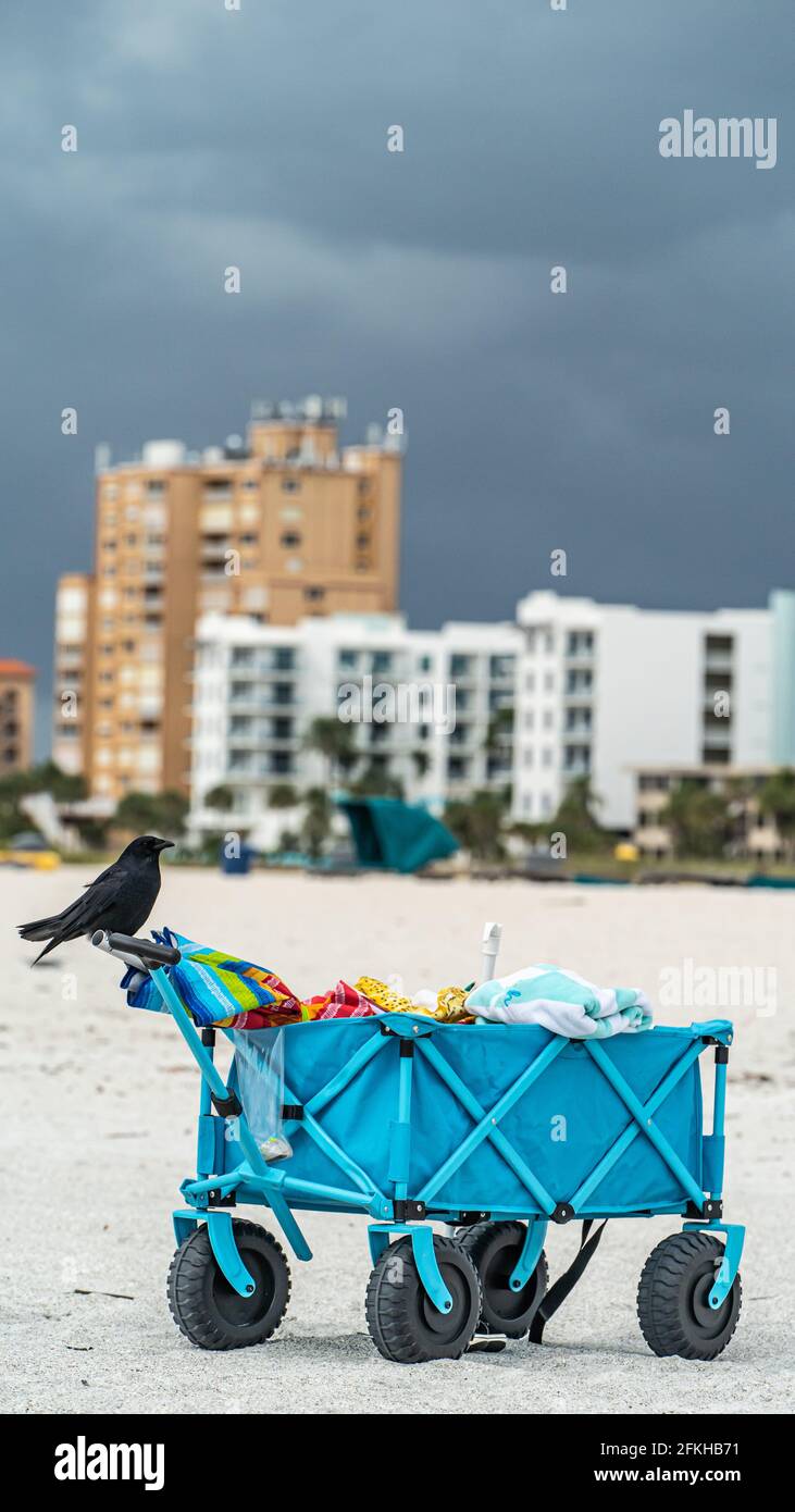 Cart on the beach hi-res stock photography and images - Alamy