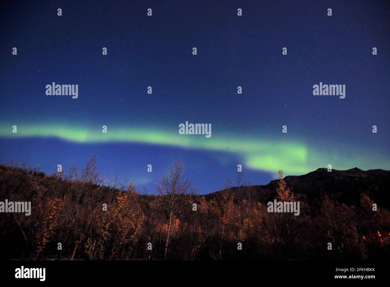 Aurora seen in Denali National Park Alaska USA Stock Photo - Alamy