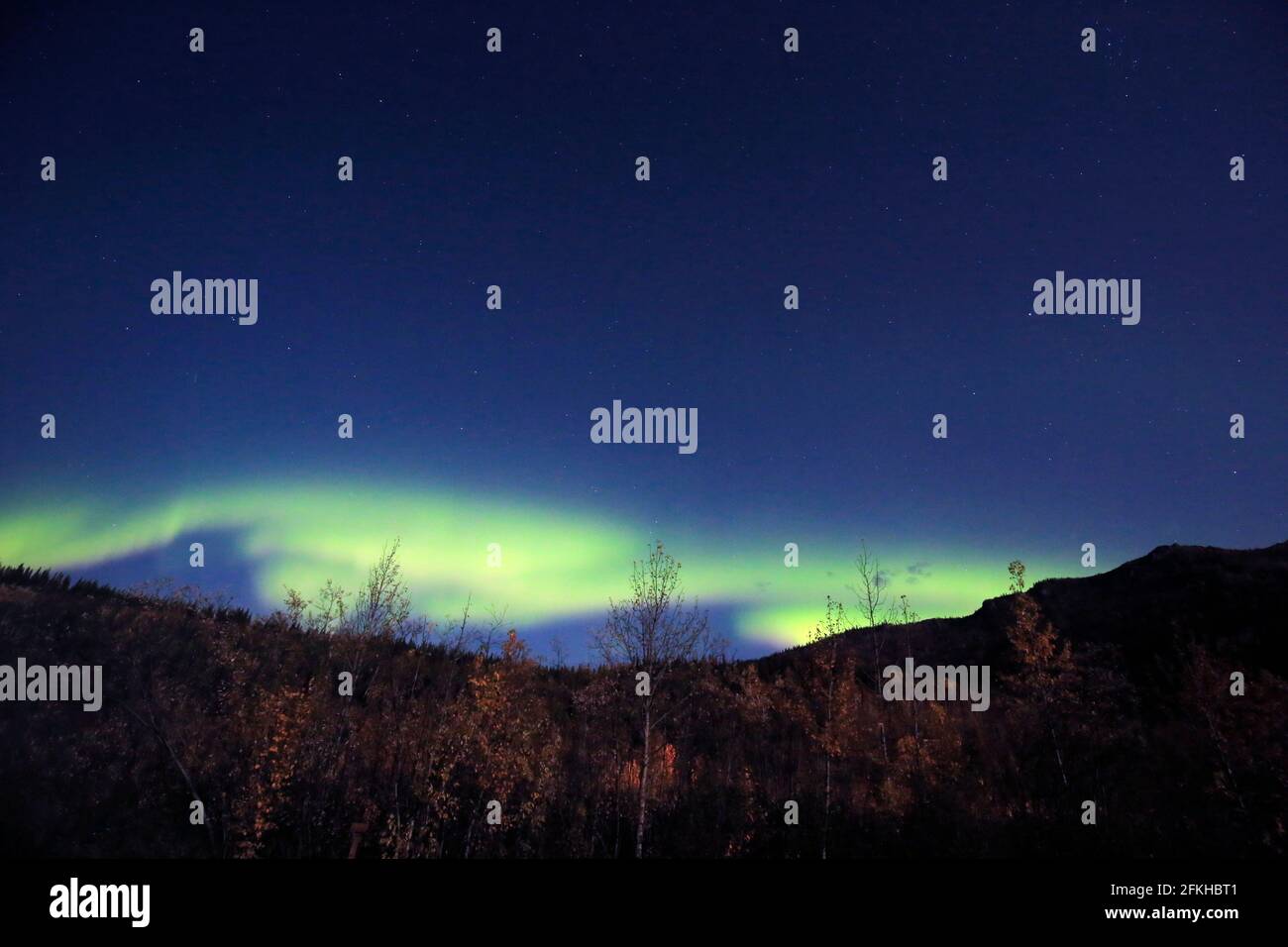 Denali national park northern lights hi-res stock photography and ...