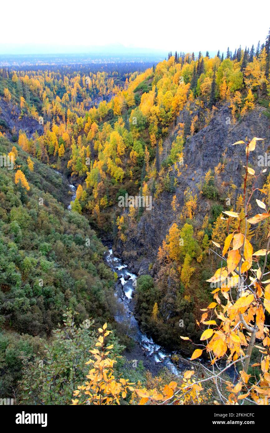 The valley view from the Hurricane Gulch Bridge in Alaska USA Stock ...