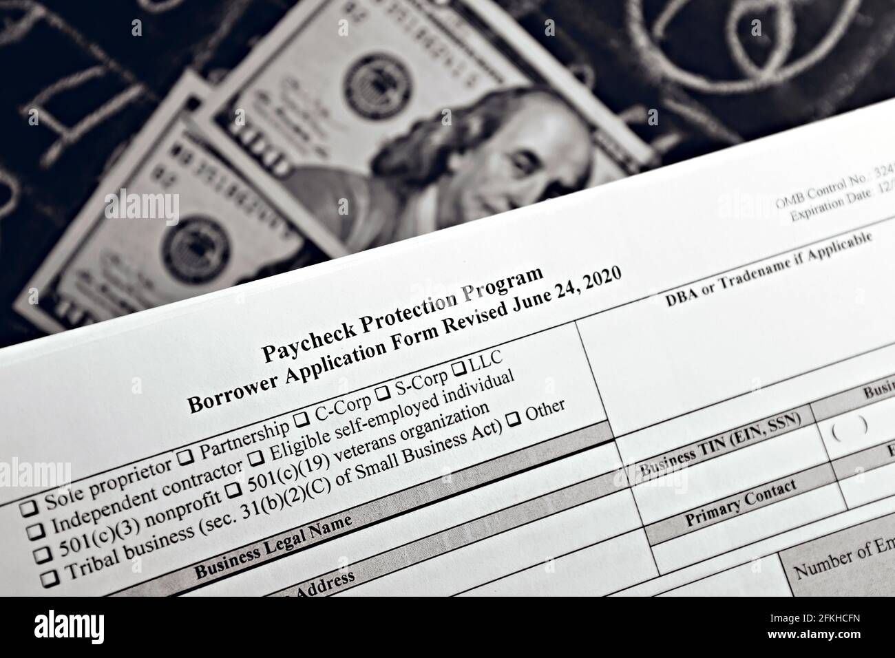 selective focus monochrome photo of paycheck protection program ...