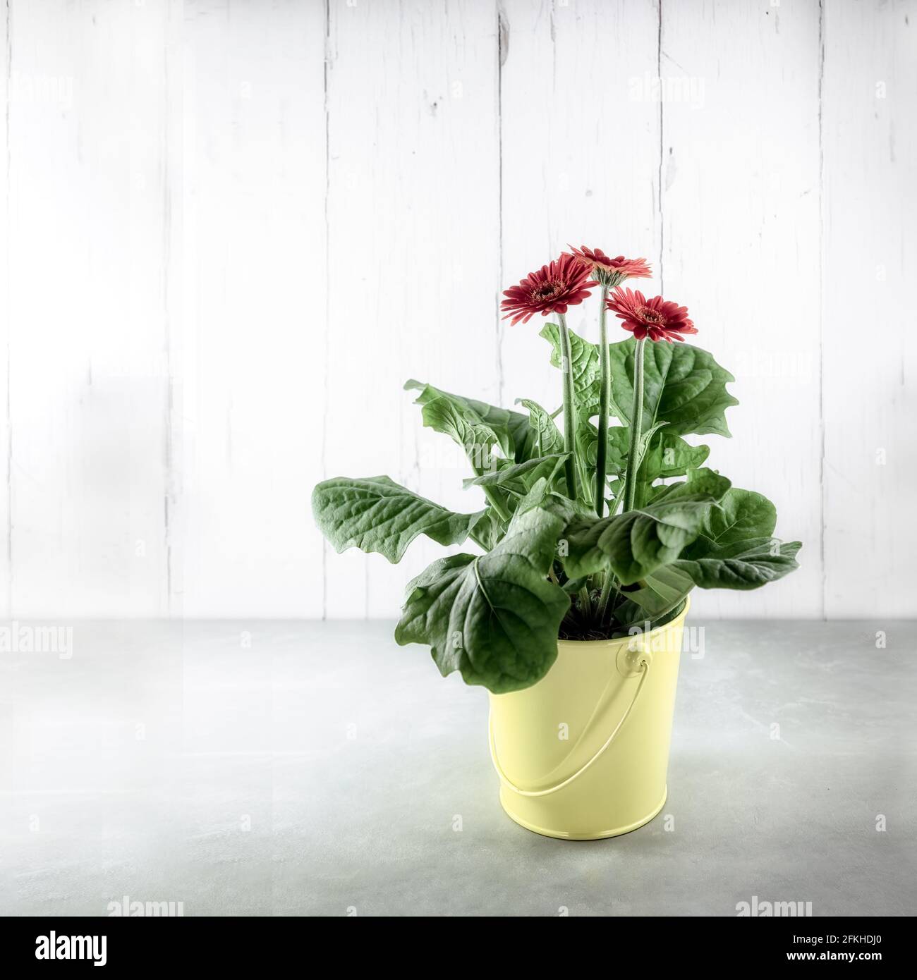 Cl20210413 hi-res stock photography and images - Alamy