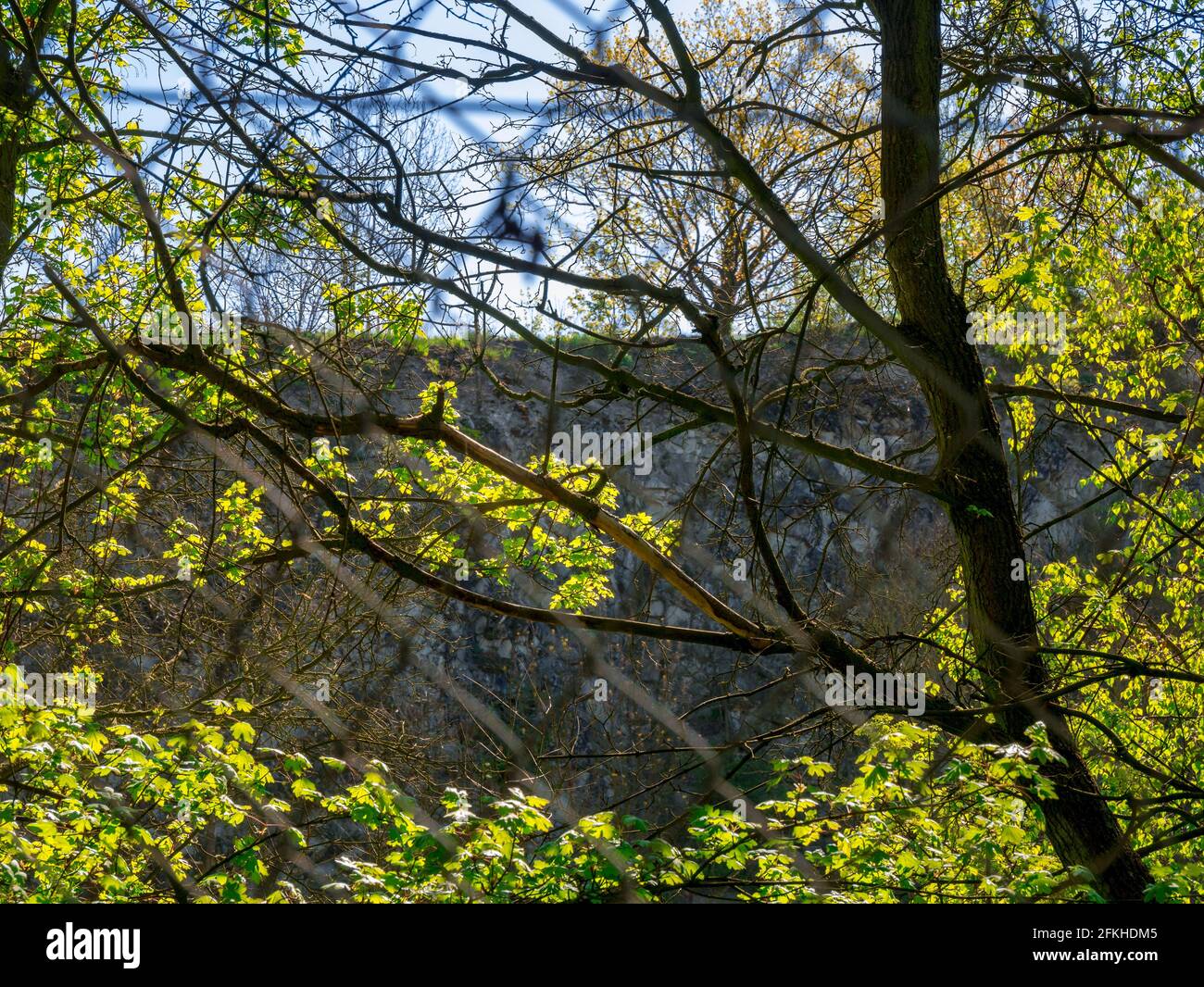 Dry tree behind fence hi-res stock photography and images - Alamy
