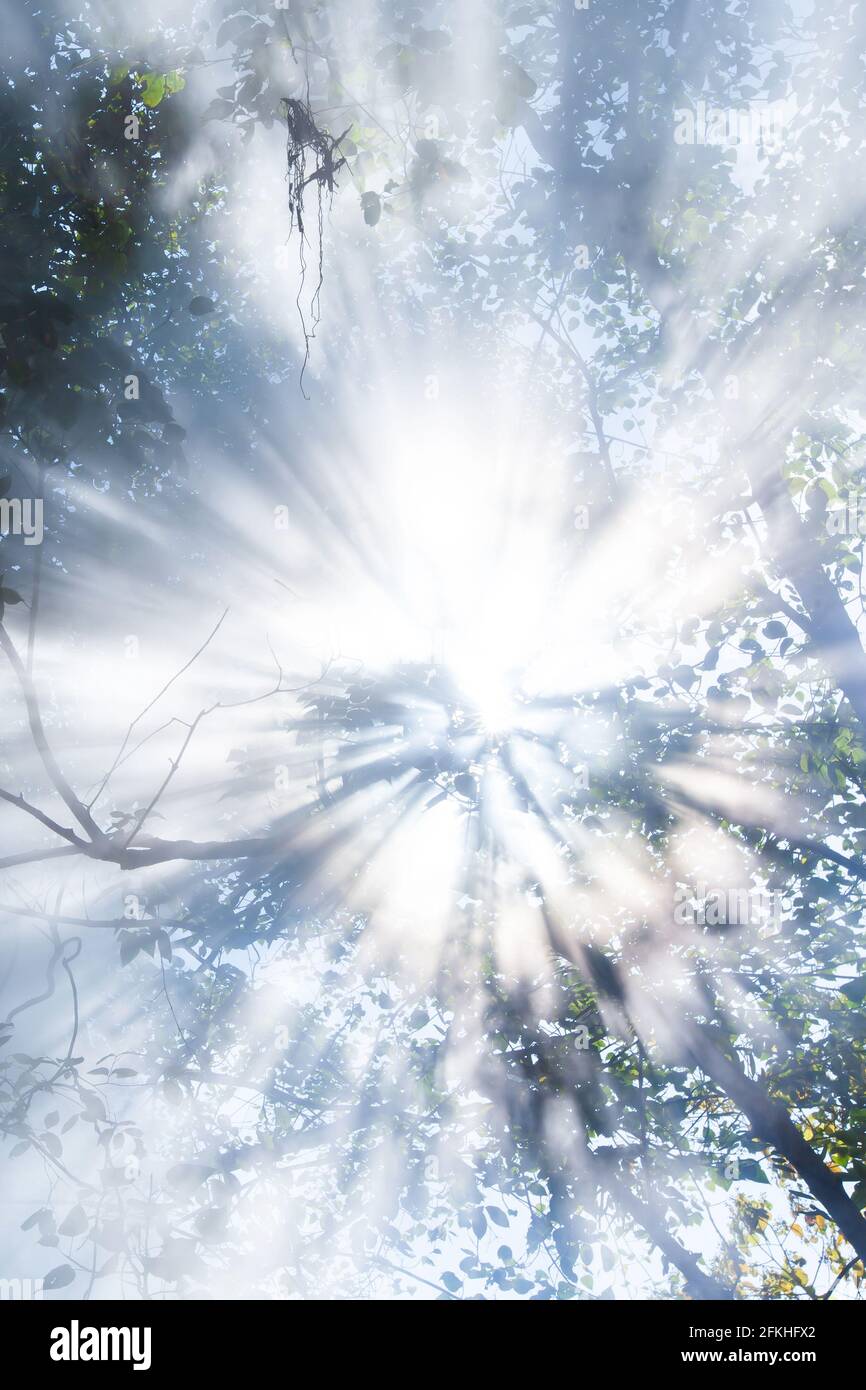 Hot and hazy hi-res stock photography and images - Alamy