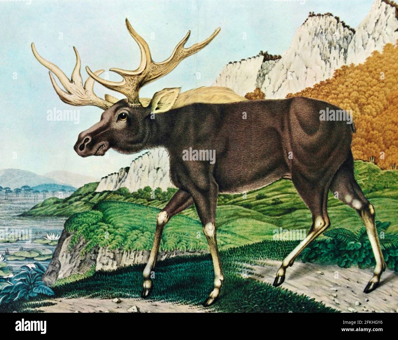 Aloys Zötl - The Elk - 1877 Stock Photo - Alamy