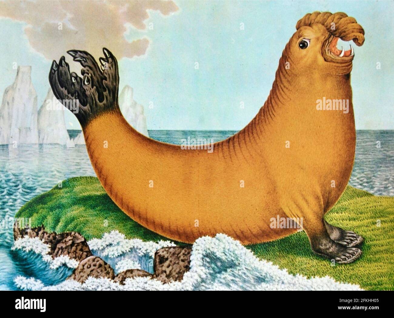 Aloys zotl bestiary hi-res stock photography and images - Alamy