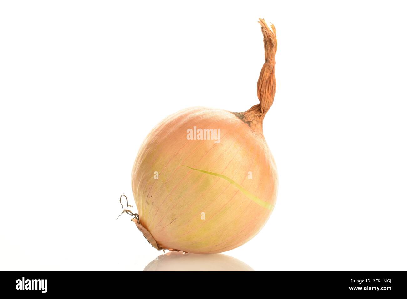One organic juicy unpeeled onion, close-up, on a white background Stock ...