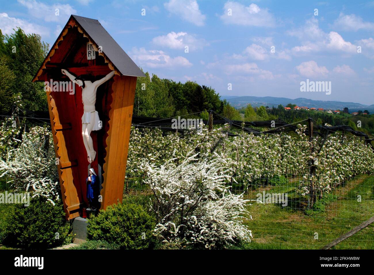 Austria, wayside shrine and field with blooming apple trees in Styria ...