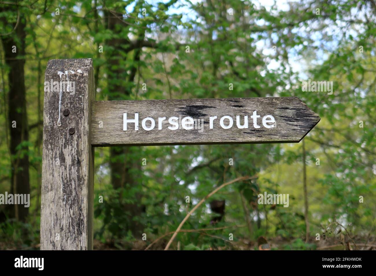 A Horse Route sign in a woodland scene Stock Photo - Alamy