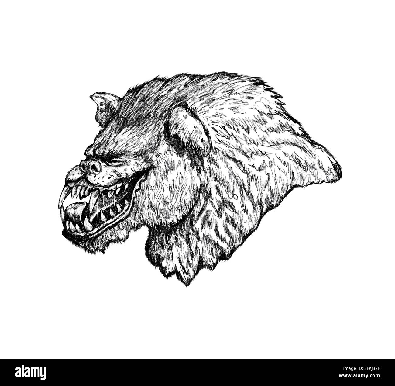 Werewolf howls on moon drawing. Fantasy monster illustration. Halloween ...