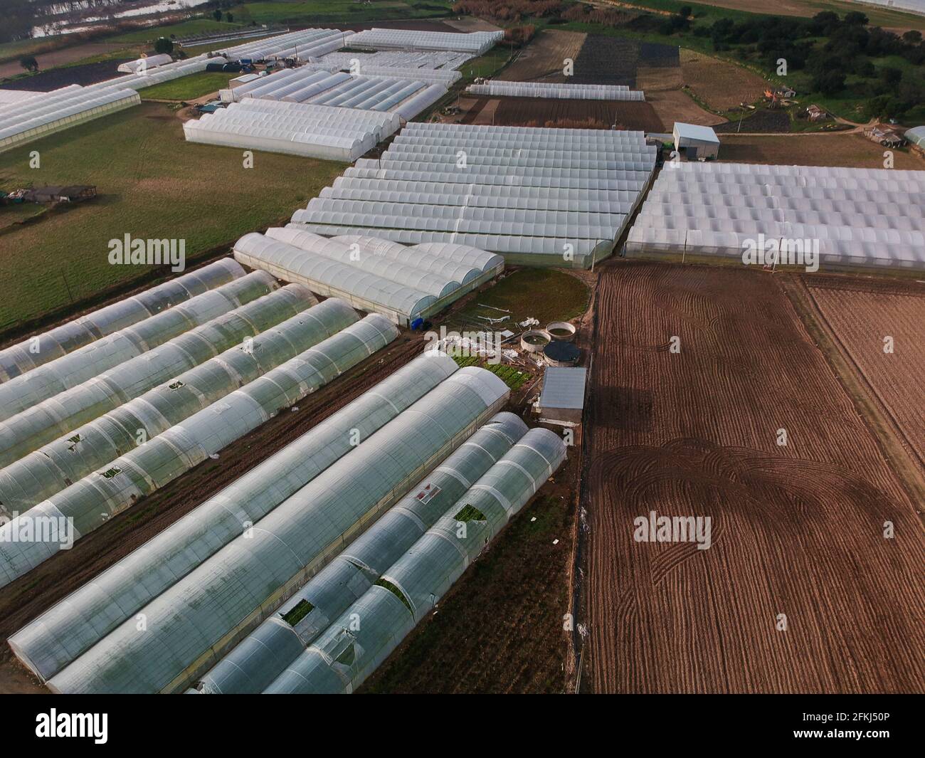 Lines of greenhouses hi-res stock photography and images - Alamy