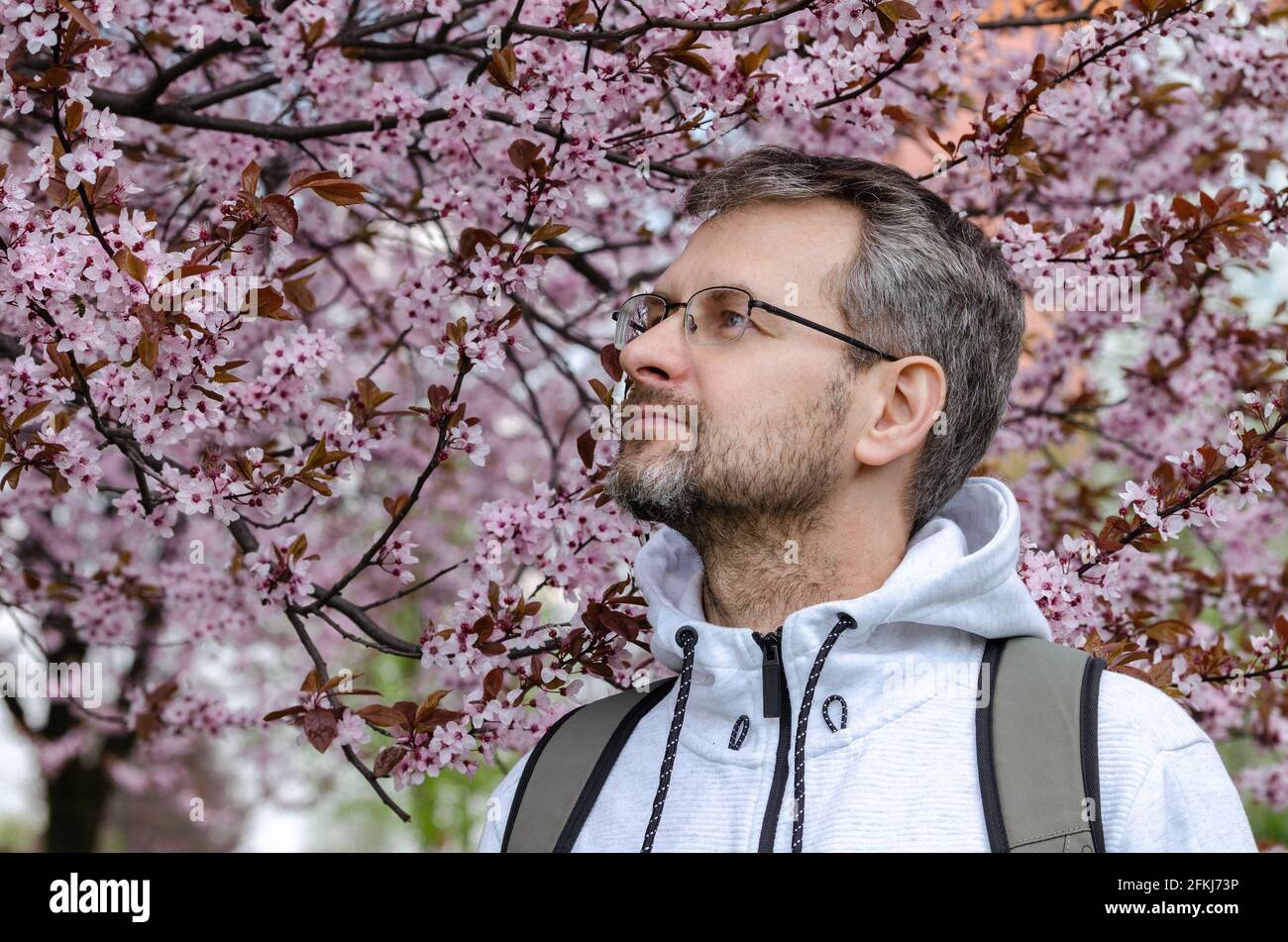 Middle aged tree hi-res stock photography and images - Alamy