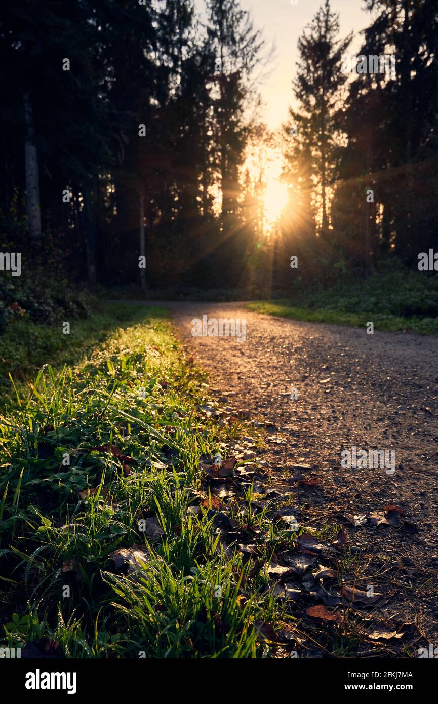 Rural path in sun hi-res stock photography and images - Alamy