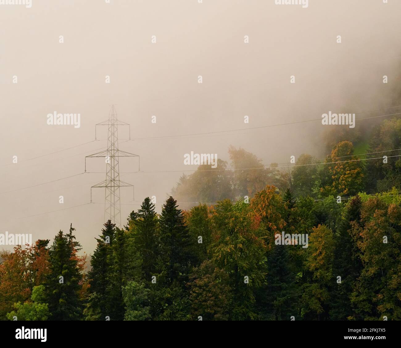Power lines above forest leading in to fog Stock Photo - Alamy