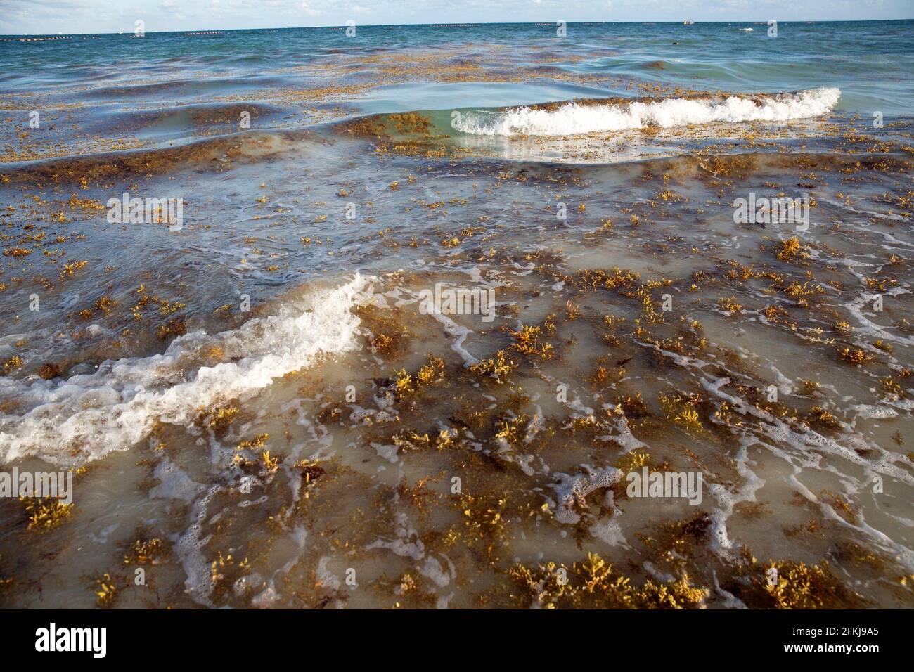 Air bladders hi-res stock photography and images - Alamy
