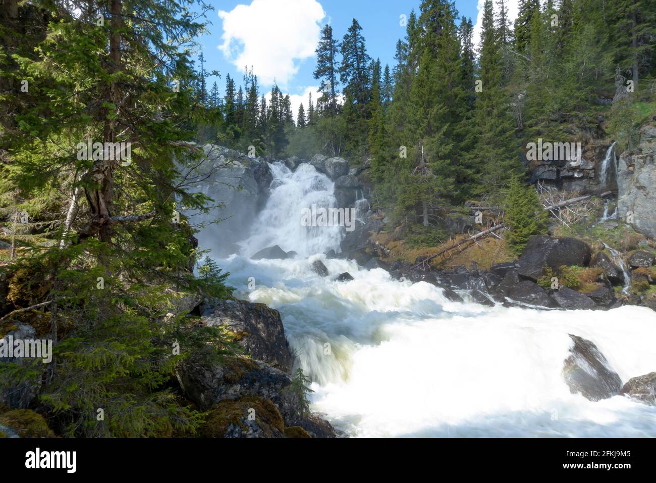 Blue electrical wire isolated on white Stock Photo - Alamy
