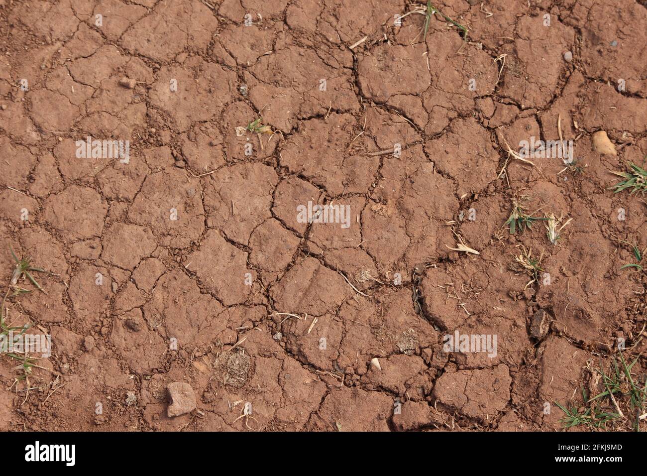 A close up photograph of parched dry earth Stock Photo - Alamy