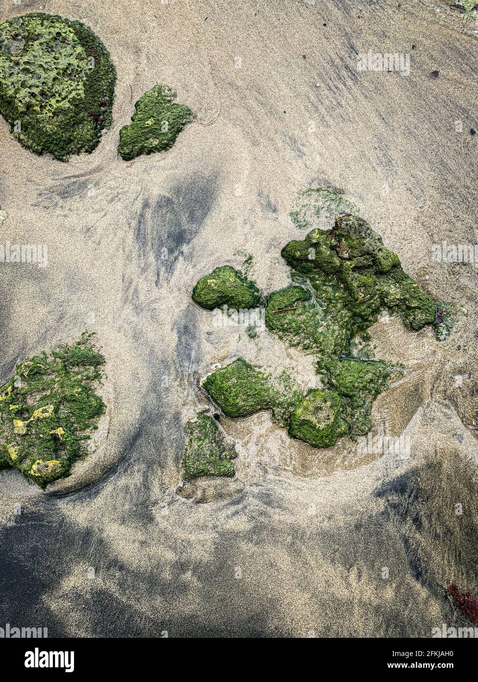 A top-view of the mossy rocks on the beach in Costa Rica Stock Photo ...