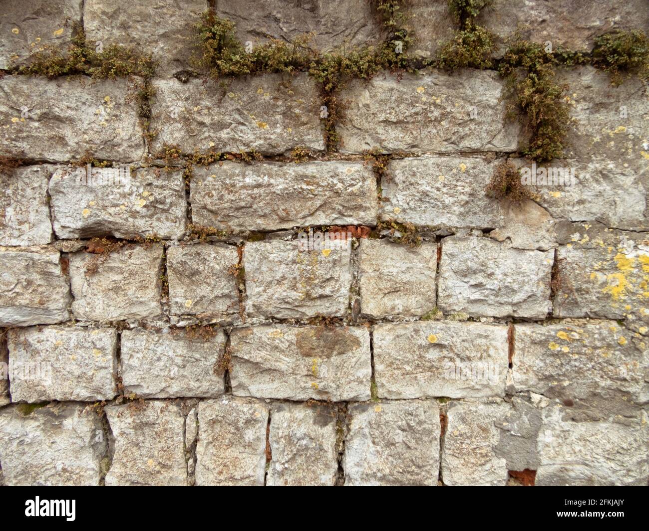 A texture of a weathered stone wall with dry grass Stock Photo - Alamy